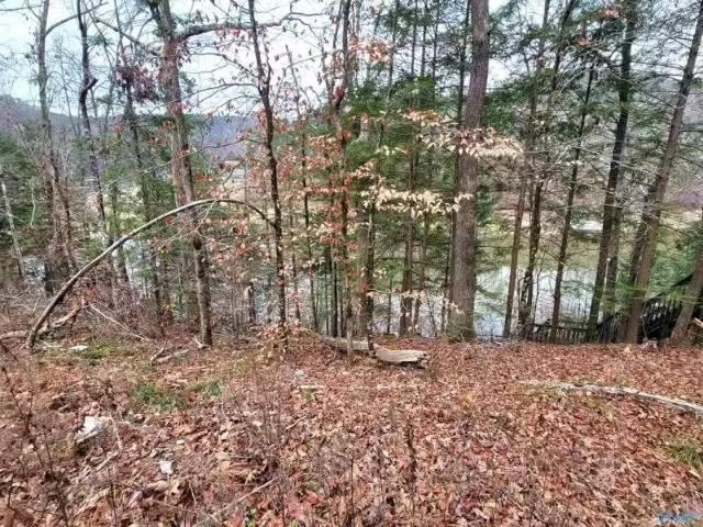 458 COUNTY ROAD 4036, ARLEY, AL 35541