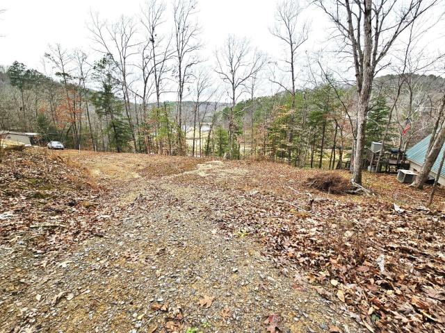 458 Co Rd 4036