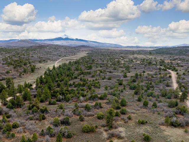 458 E Beaver Pnes Loop, Norwood, CO 81423 | MLS #834500