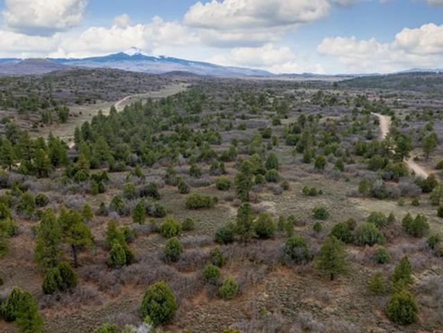 458 E Beaver Pnes Loop Lot 9, Norwood, CO 81423