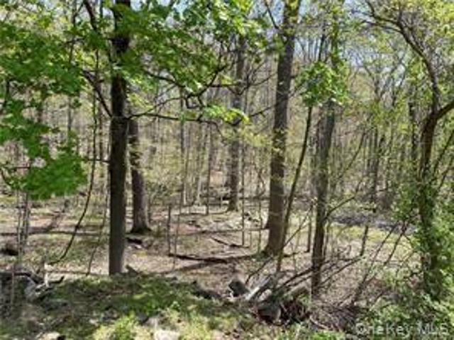 458 Pascack Road