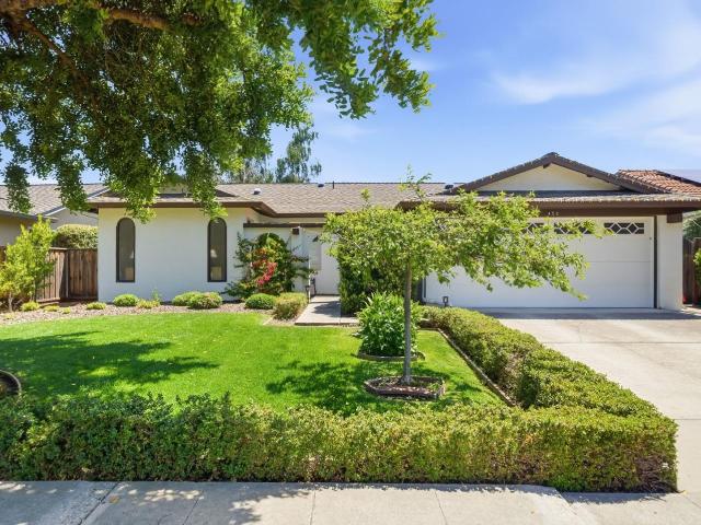 458 Pin Oak