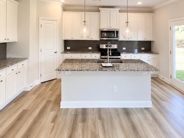 4595 Silver Oak Drive