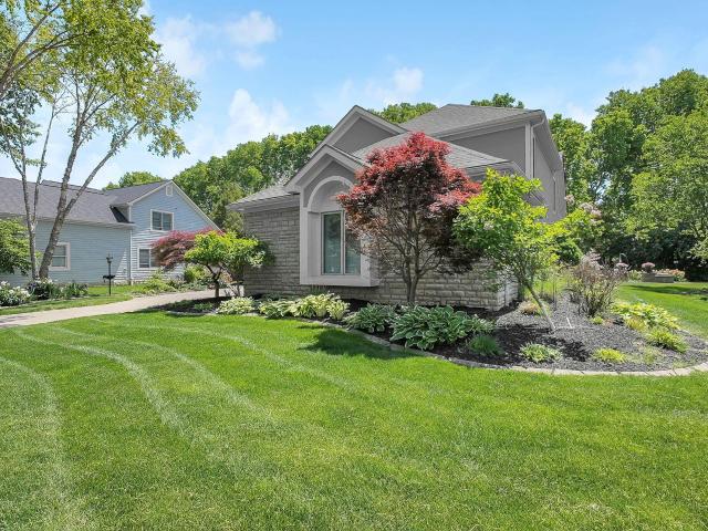 4593 Wuertz Court