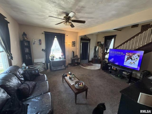 459 E Locust St, Canton, IL 61520 | MLS #PA1261