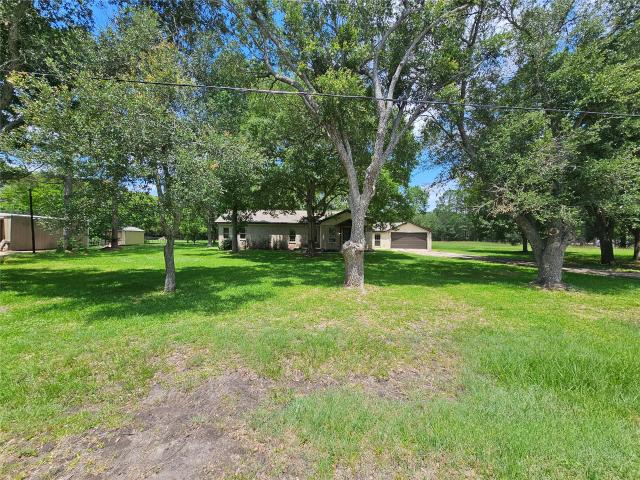 459 Live Oak Road