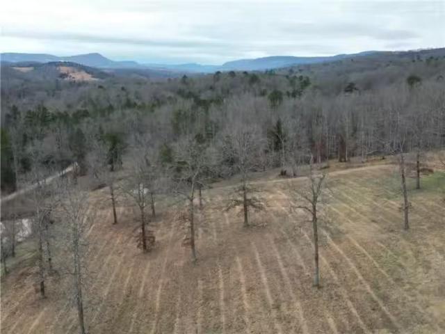 459 NC 3057, MARBLE FALLS, AR 72648 Vacant Land For Sale MLS#.