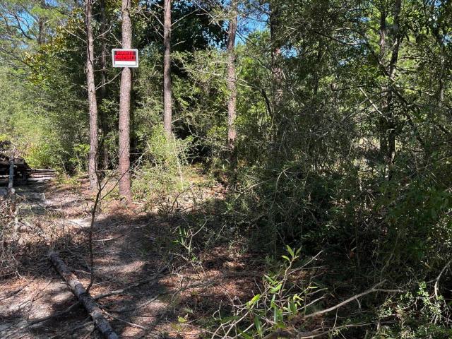 45 48 W Buckeye St, DeFuniak Springs, FL 32433 | MLS #980816