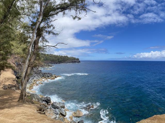 45 5060 Nānaina Kai Rd, Honokaa, HI 96727 | MLS #720688