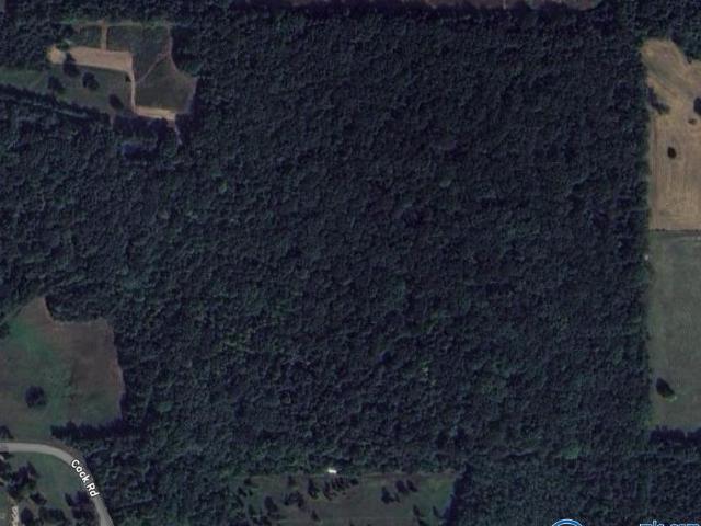 45.55 Acres Cook Road