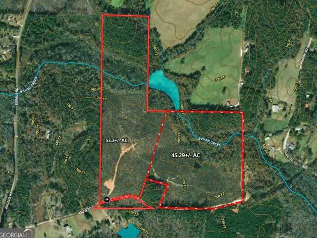 45 29+/ Ac Noles Rd, Franklin, GA 30217 MLS 10360995