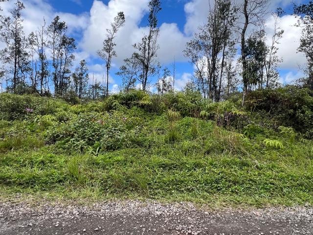 45 35th Ave, Keaau, HI 96749 | MLS #729142 | Compass