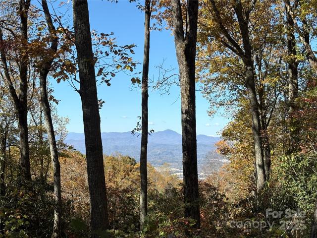 45 Trillium Gdn Trl, Unit LOT 29, Fletcher, NC 28732 | MLS #4316