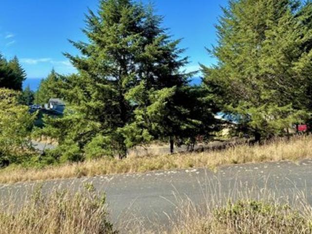 45 Vista Rd, Shelter Cove, CA 95589