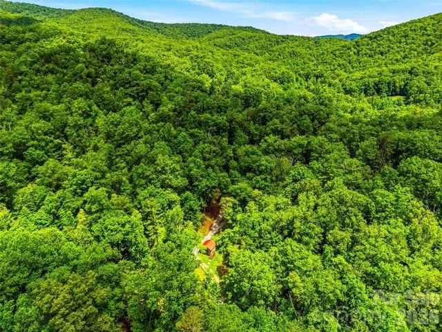 45 Watagnee Trl, Horse Shoe, NC 28742