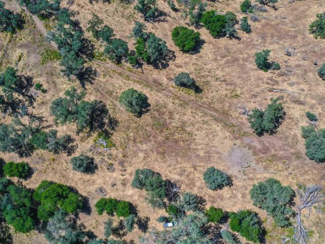 45+ Ac Powell Ranch Road