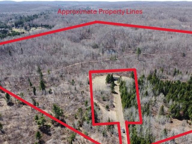 45 Acres Turtle Lake Rd, Lily, WI 54491