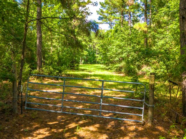 45 Acres FM 229