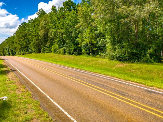 45 Acres FM 229