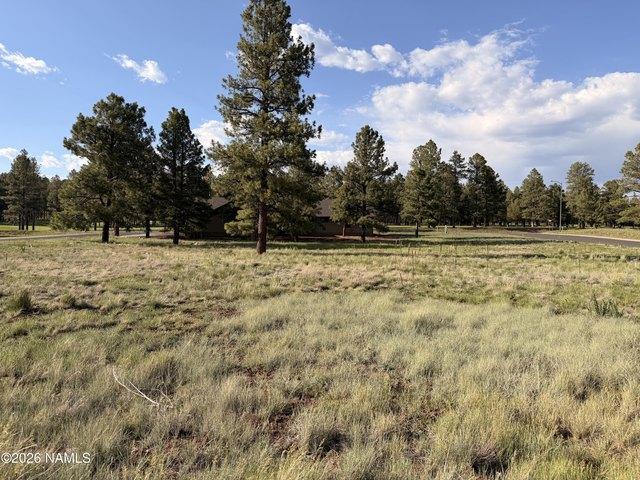 45 Anthem Dr, Williams, AZ 86046