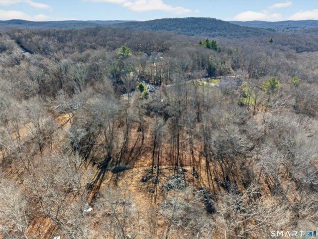 45 Benton Hill Rd, Griswold, CT 06351