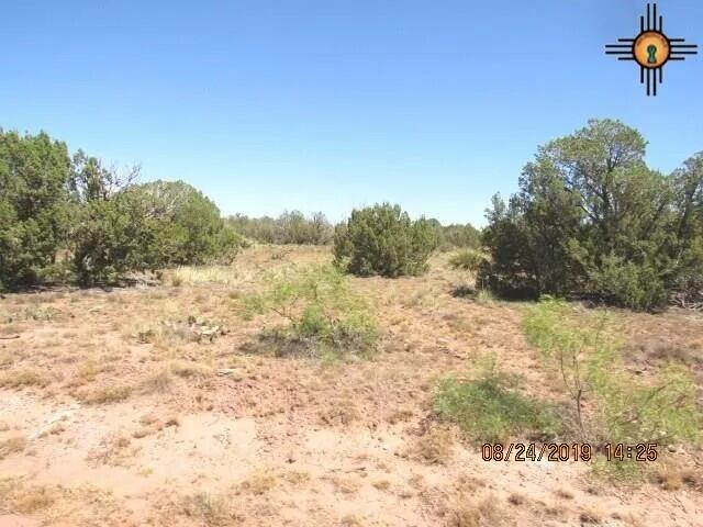 45 Bull Canyon Loop