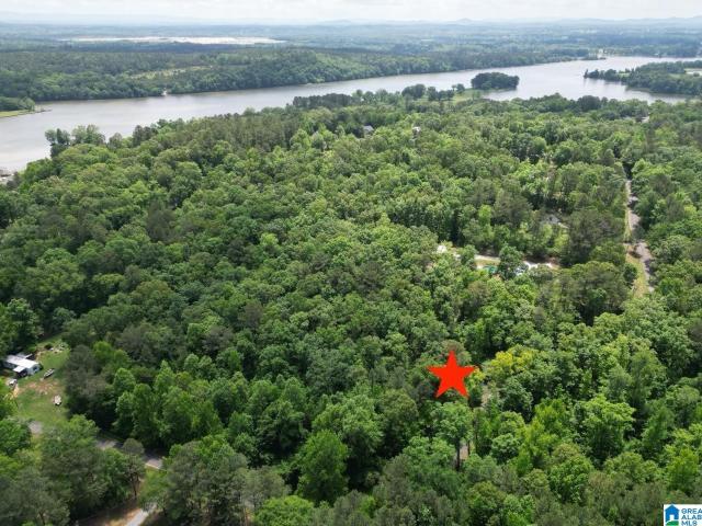 45 Coosa View Lane # 0
