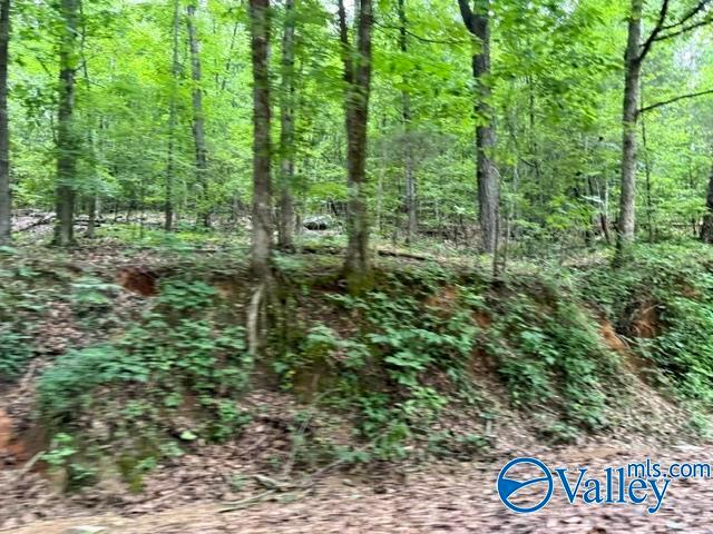 45 County Road 458
