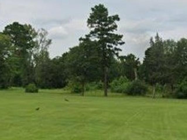 45 County Road 1608, Linden, TX 75563