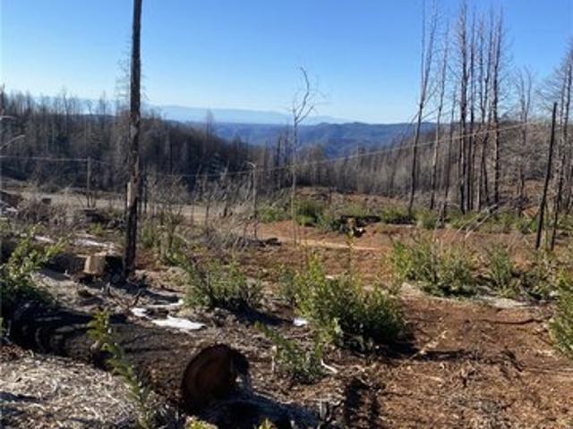 45 Fox Hill Rd, Berry Creek, CA 95916