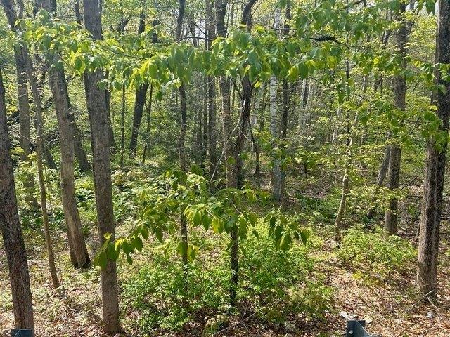 45 Fox Hill Rd, Mashpee, MA 02649