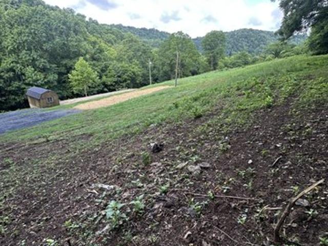 45 Friendship Hollow Rd N, Pleasant Shade, TN 37145