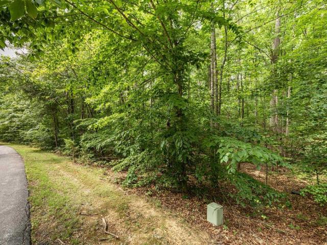45 Glen Eagles Dr # 45