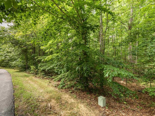 45 glen eagles dr