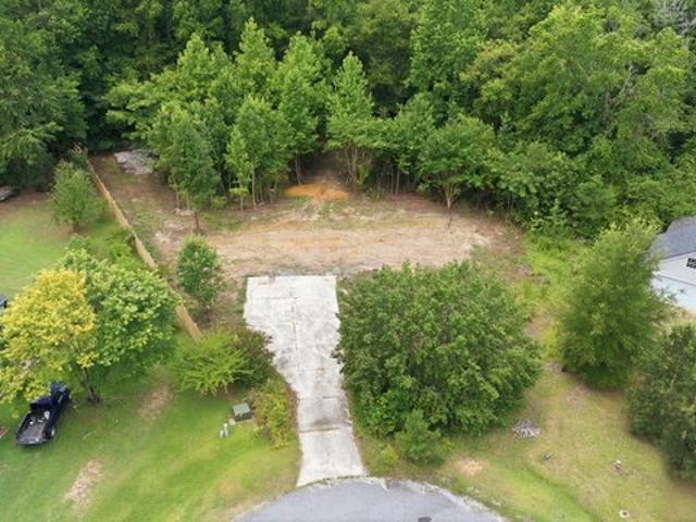 45 Green Bramble Ct, Smithfield, NC 27577