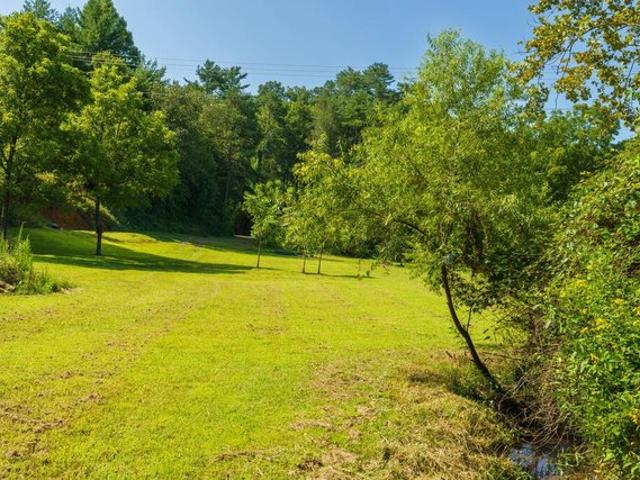 45 Green Cove Rd, Brasstown, NC 28902