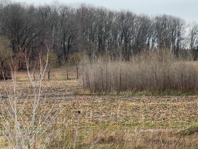 45 Highway Fremont, WI 54940 | MLS #50323 | Compass