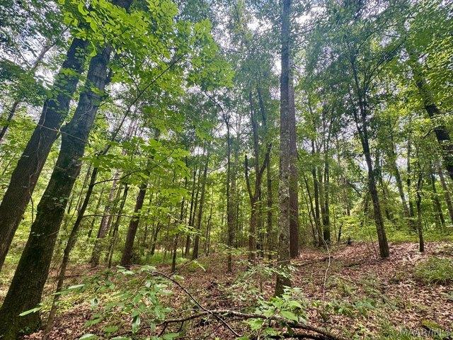 45 Highway 29, Union Springs, AL 36089