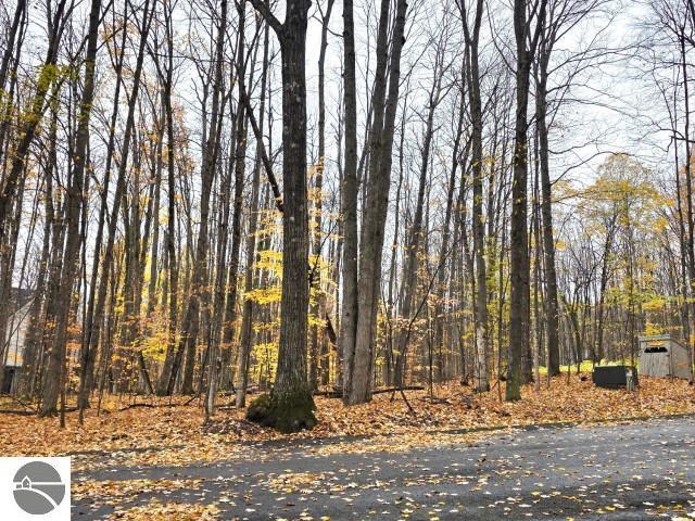 45 Kliffendorf Drive