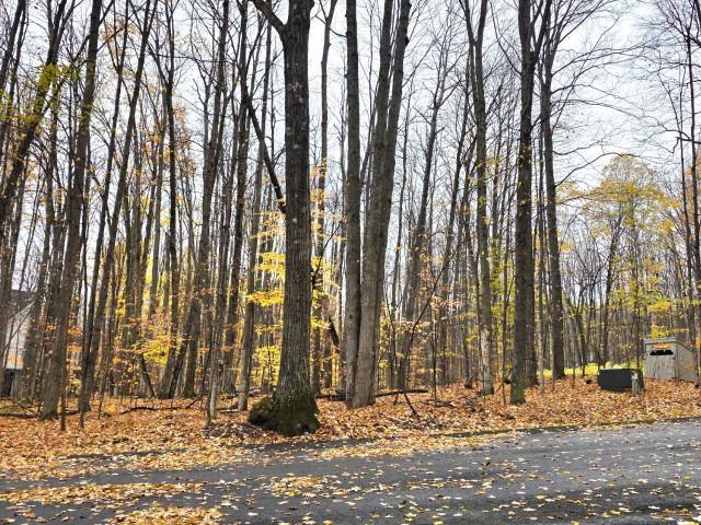 45 Kliffendorf Drive
