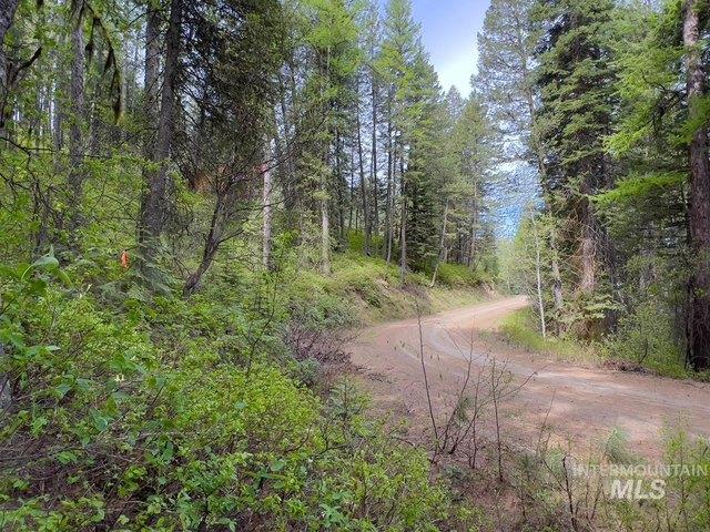 45 Landale Ln, Cascade, ID 83611