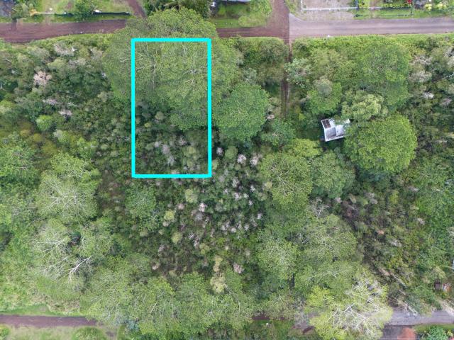 45 Paradise Ct, Pahoa, HI 96778 | MLS #728774