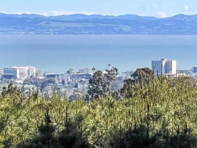 45 Patton Pl, Hillsborough, CA 94010