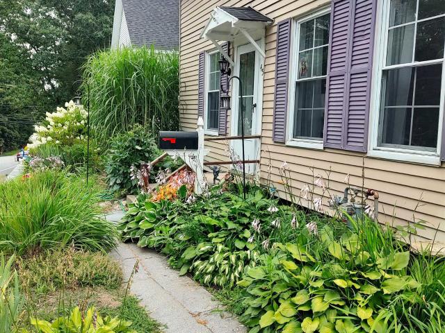 45 Penacook Street