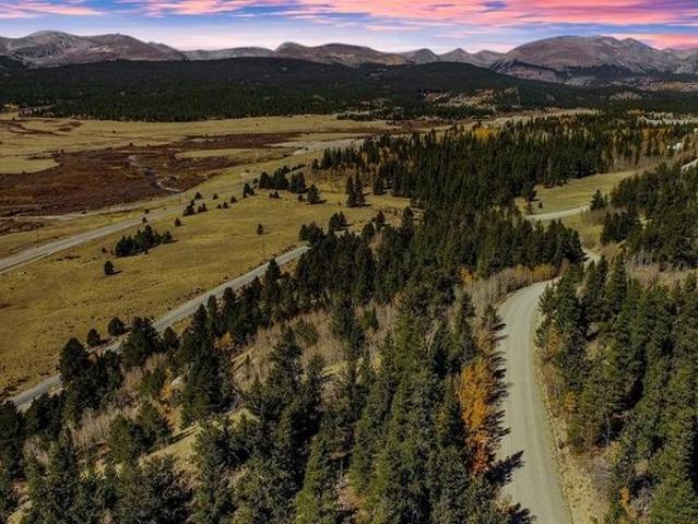 45 platte river drive, fairplay, usa, co