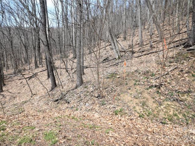45 Prosperity Ridge # 45
