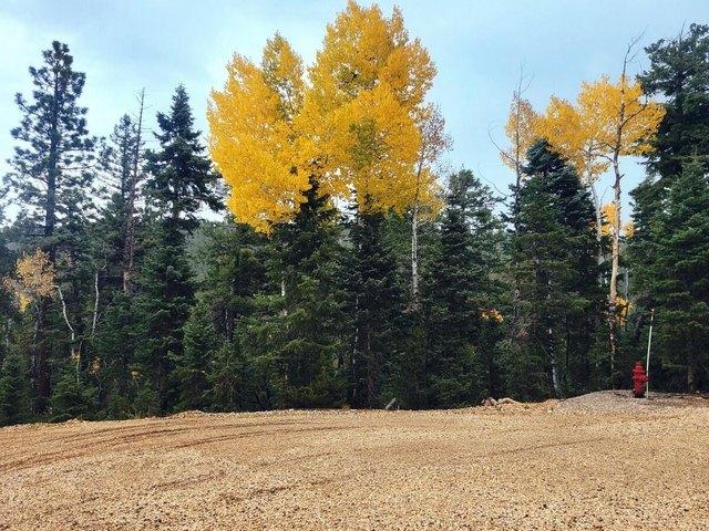 45 S Quakie Pl Lot 8, Duck Creek Village, UT 84762