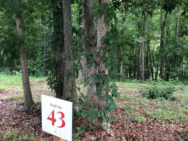 45 Sweet Fern Parkway # 43