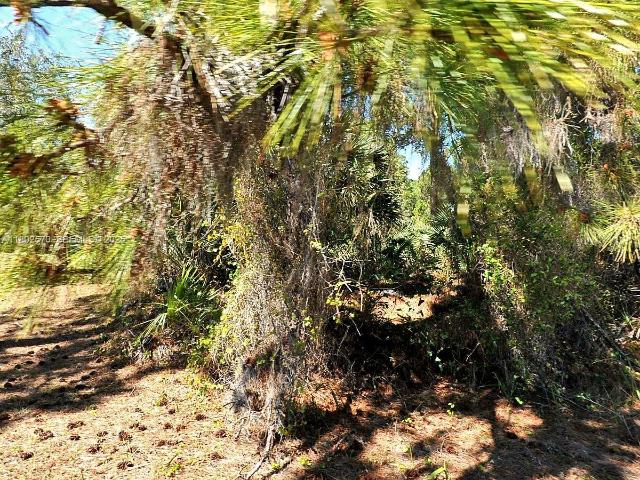 4601 Fergus St, North Port, FL 34288 | MLS #A12014 | Compass