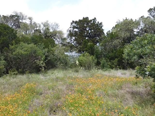 460 County Road 2753
